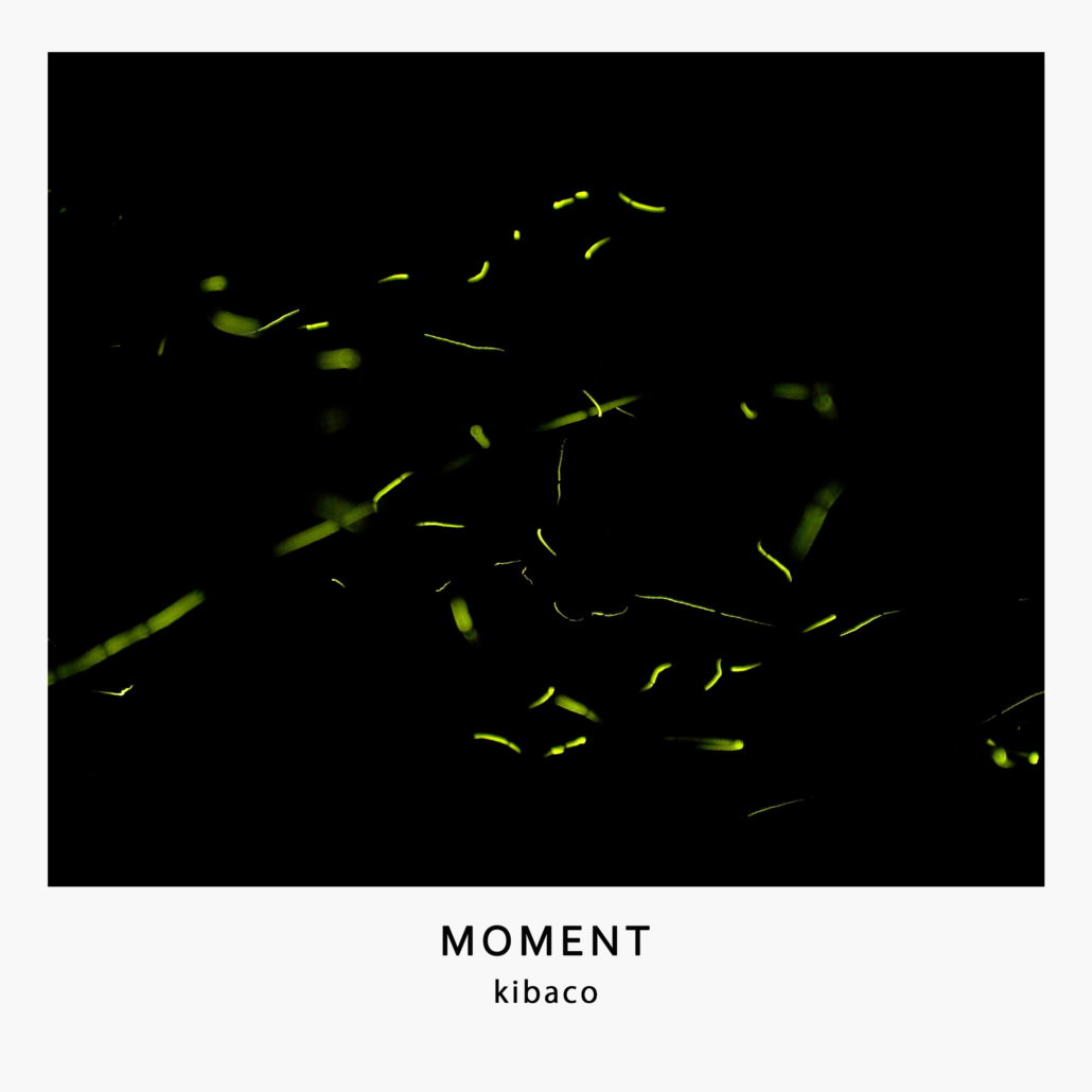 kibaco Official Web Site